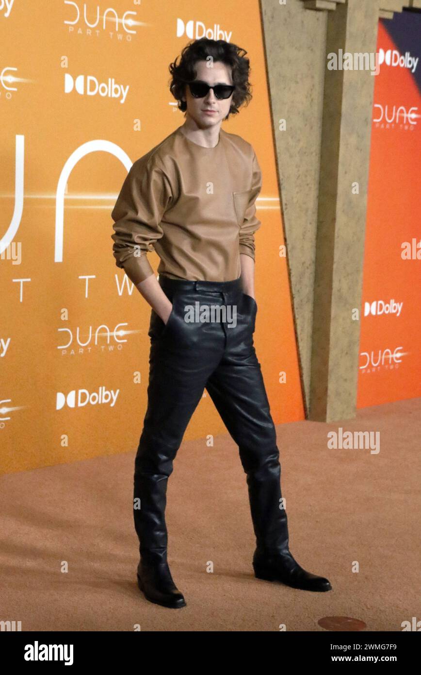 New York, NY, USA. 25th Feb, 2024. Timoth e Chalamet at the New York ...
