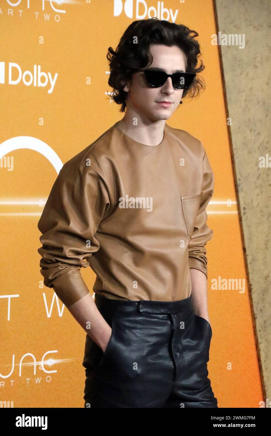 New York, NY, USA. 25th Feb, 2024. Timoth e Chalamet at the New York ...