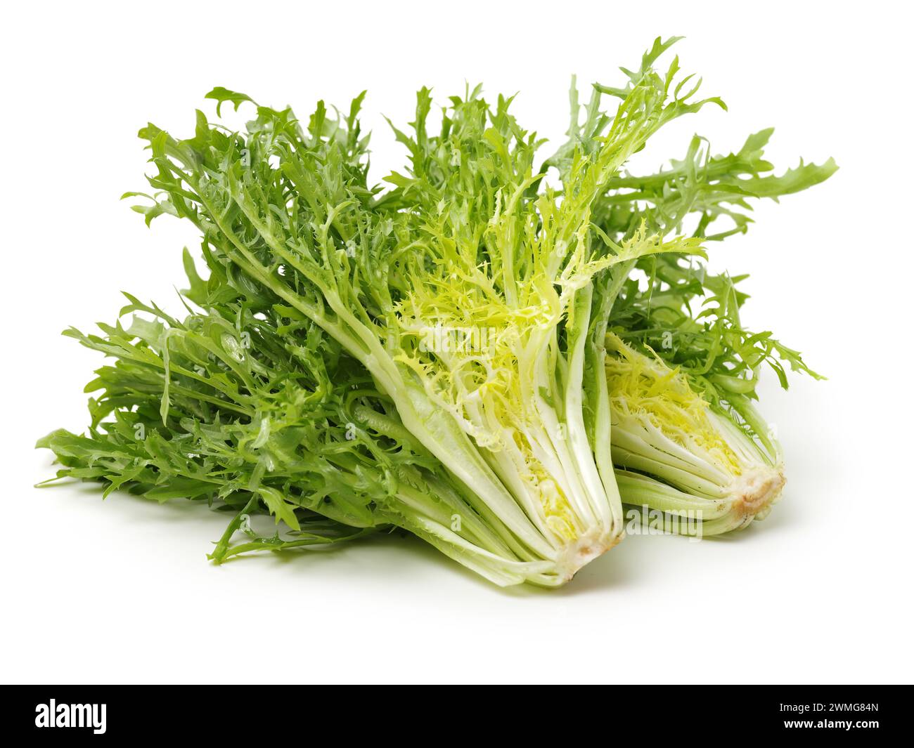 Escarole Endive on a white background Stock Photo - Alamy