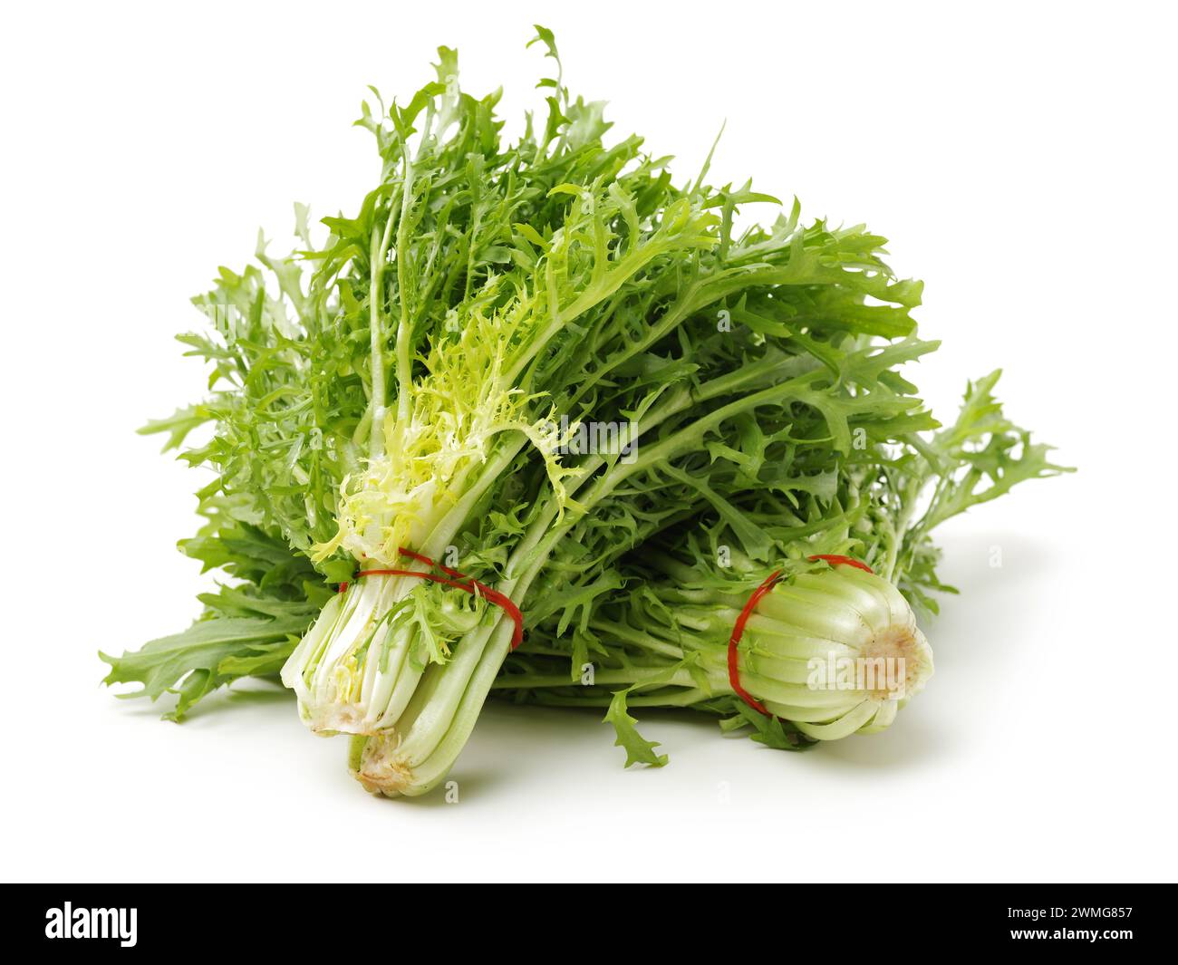 Chicory escarole hi-res stock photography and images - Alamy