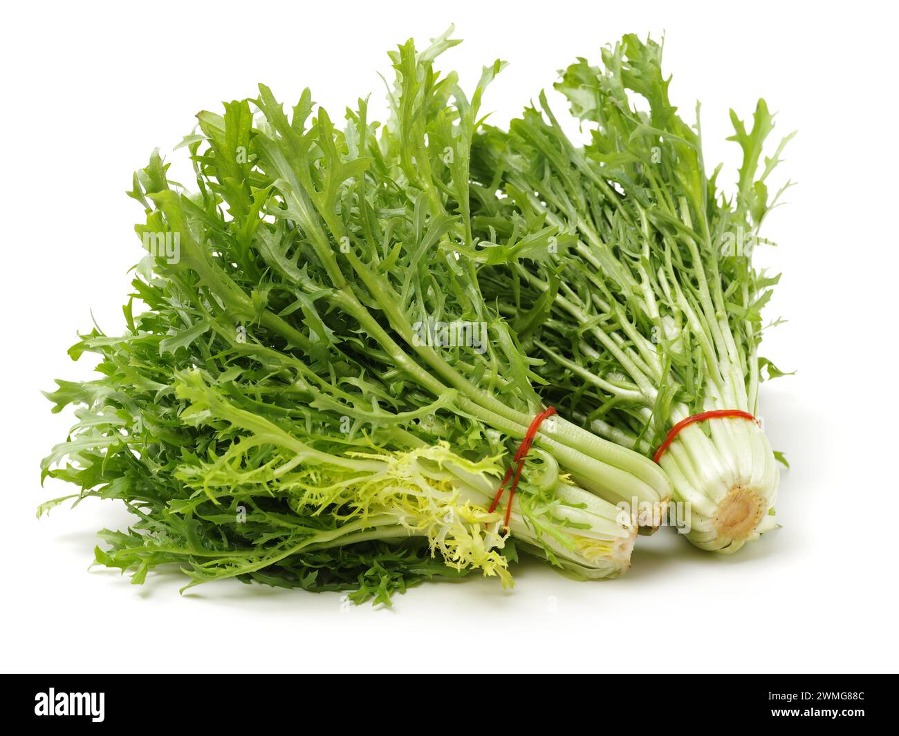 Chicory escarole hi-res stock photography and images - Alamy