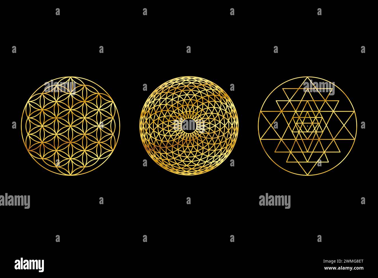 Sacred Geometry Gold Symbols on Black Background. Sri Yantra, Flower Of Life, Torus Yantra Stock ...