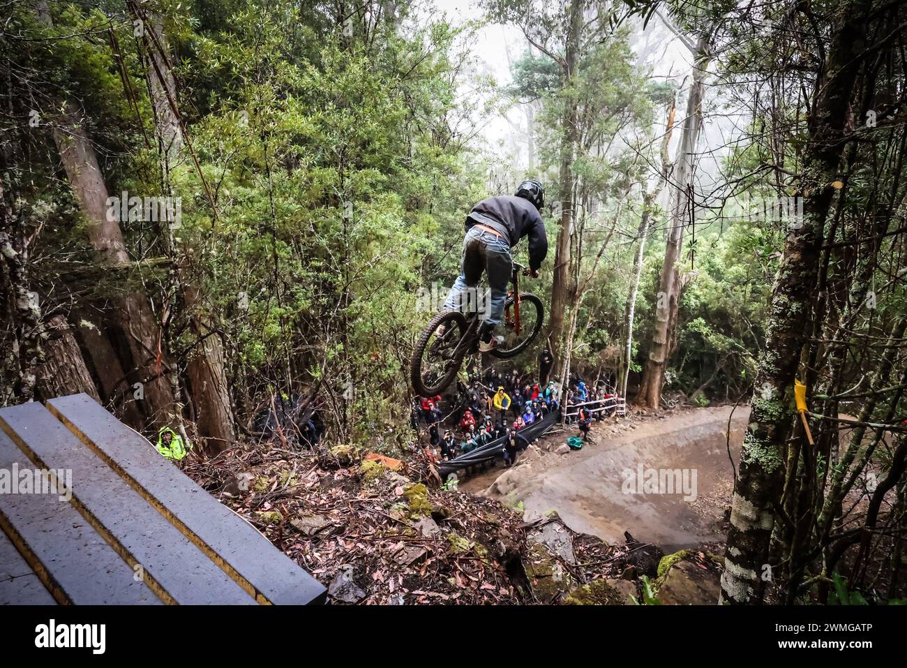 Red bull hardline hi-res stock photography and images - Alamy