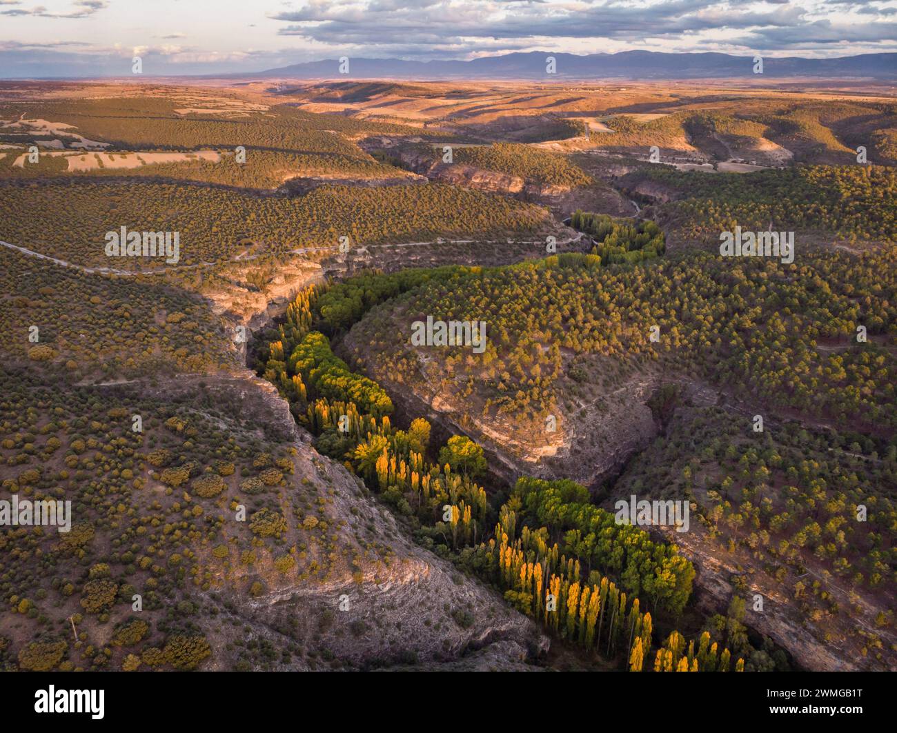 meander, Las Hoces del Río Duratón Natural Park, Segovia province ...