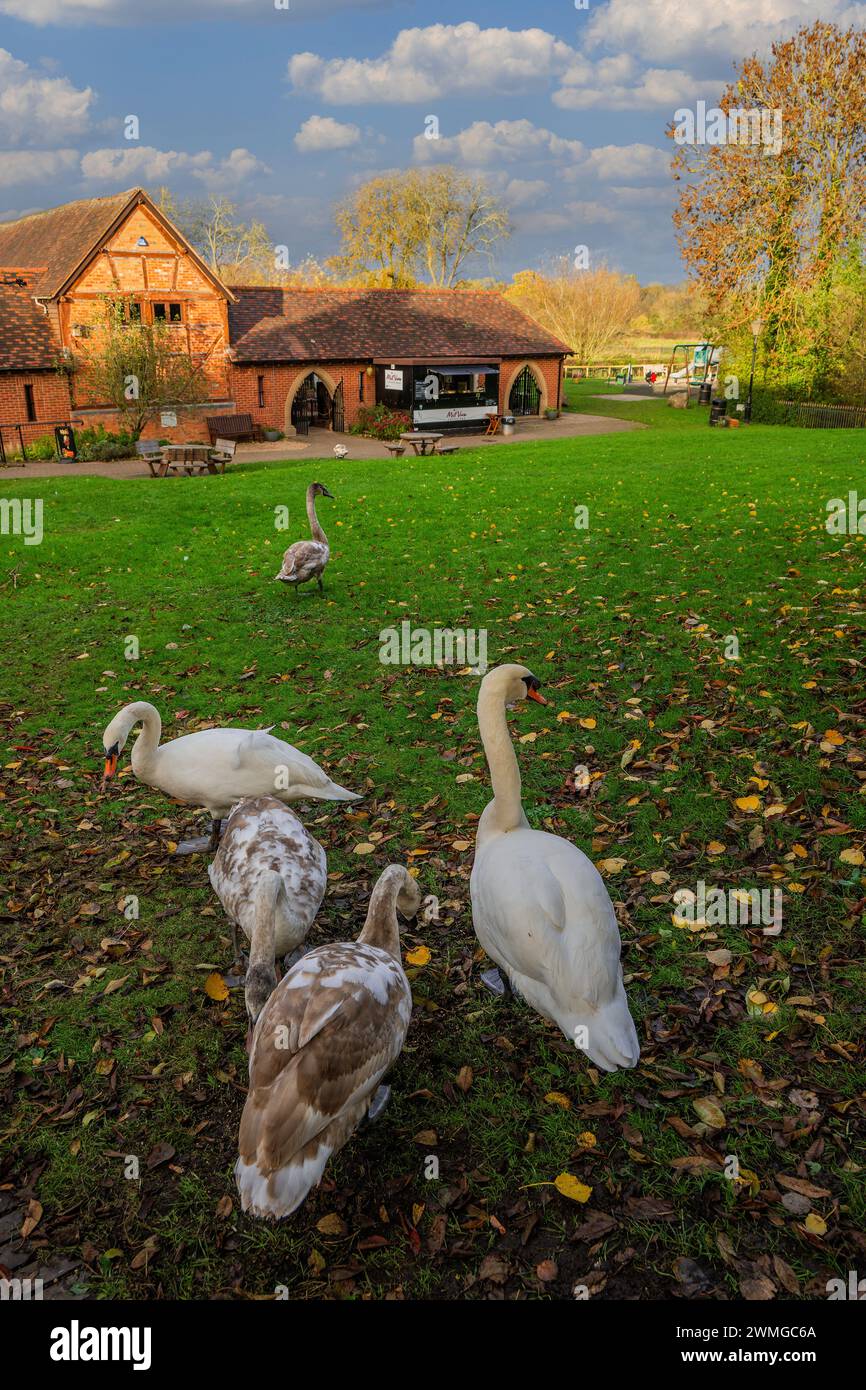 forge mill national needle museum redditch worcestershire england uk ...