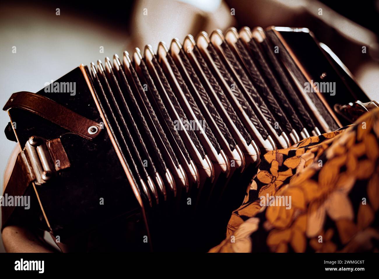 Playing the accordion. Close up Stock Photo - Alamy