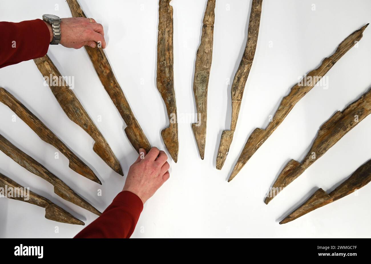 Mainz, Germany. 26th Feb, 2024. Sharpened wooden stakes from a Roman ...