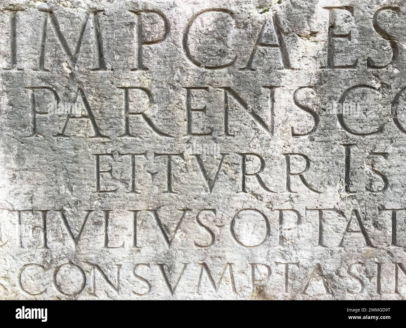 Roman letters engraved on stone. Concepts and backgrounds Stock Photo ...