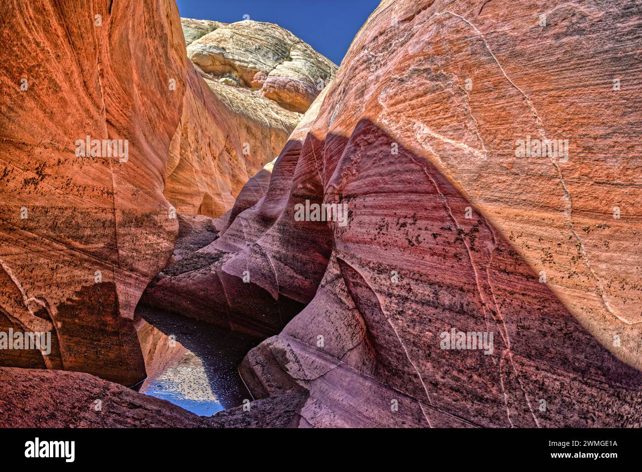 The stunning pink canyon in Valley of Fire State Park, NV Stock Photo ...