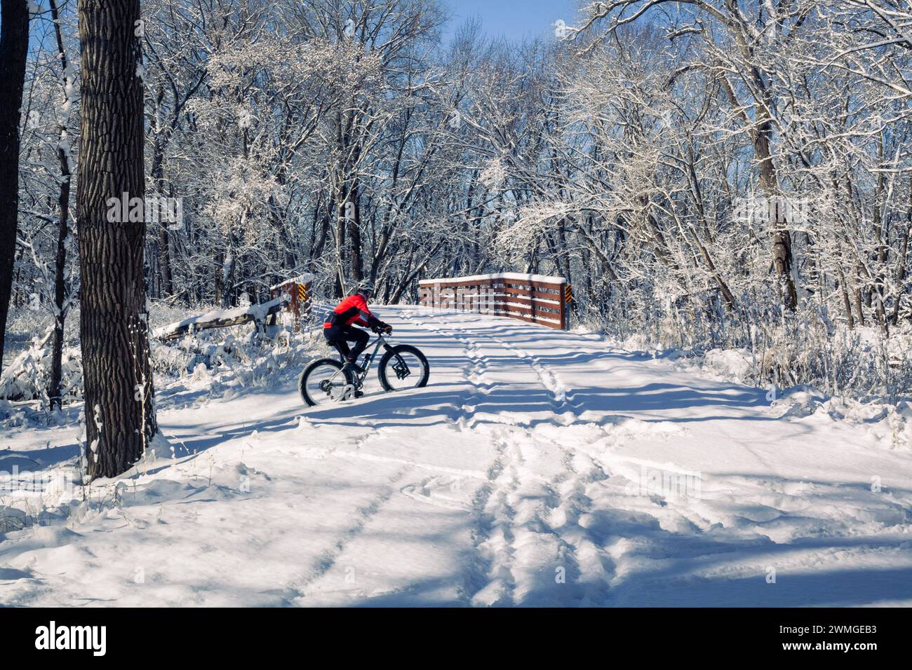 Man cycling trees hi-res stock photography and images - Alamy