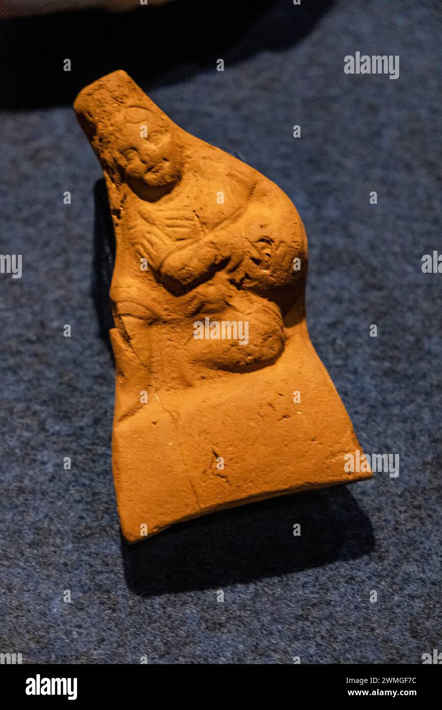 Museo de la evolución humana, MEH, Burgos , Spain Stock Photo - Alamy