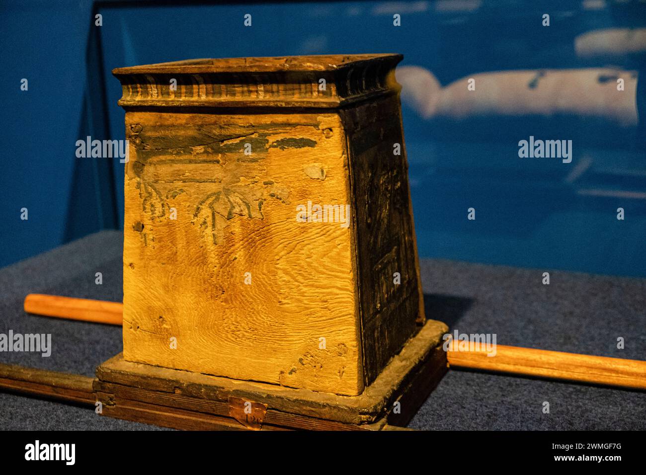 Museo de la evolución humana, MEH, Burgos , Spain Stock Photo - Alamy