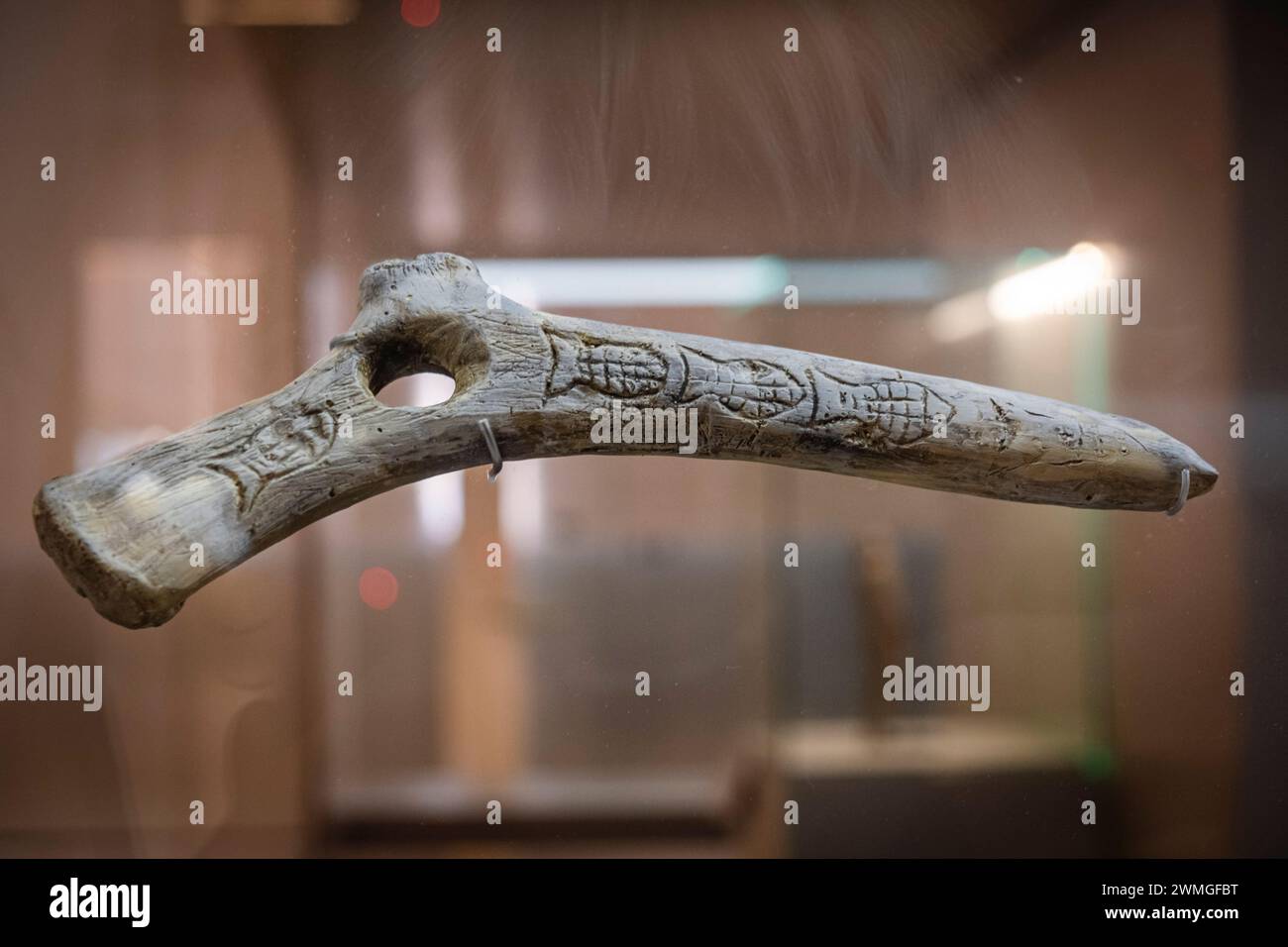 perforated staff on reindeer antler, Upper Palaeolithic Magdalenian ...
