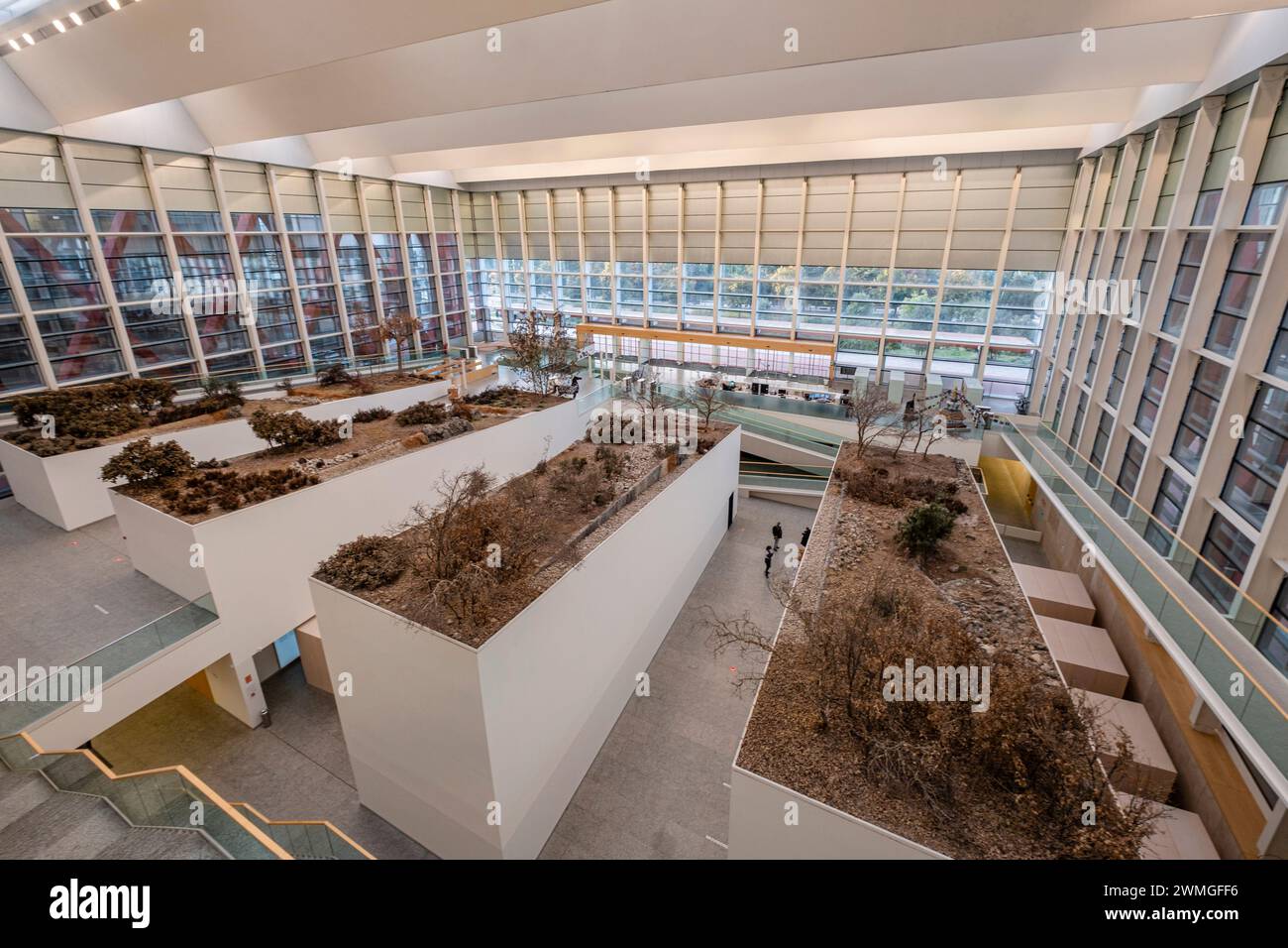 Museo de la evolución humana, MEH, Burgos , Spain Stock Photo - Alamy