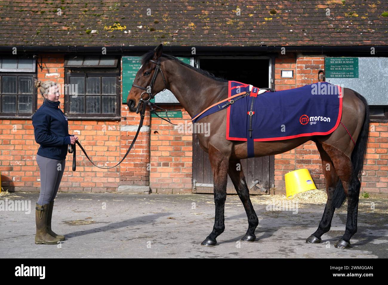 Horse Stage Star during a visit to Paul Nicholls' yard at Manor Farm ...