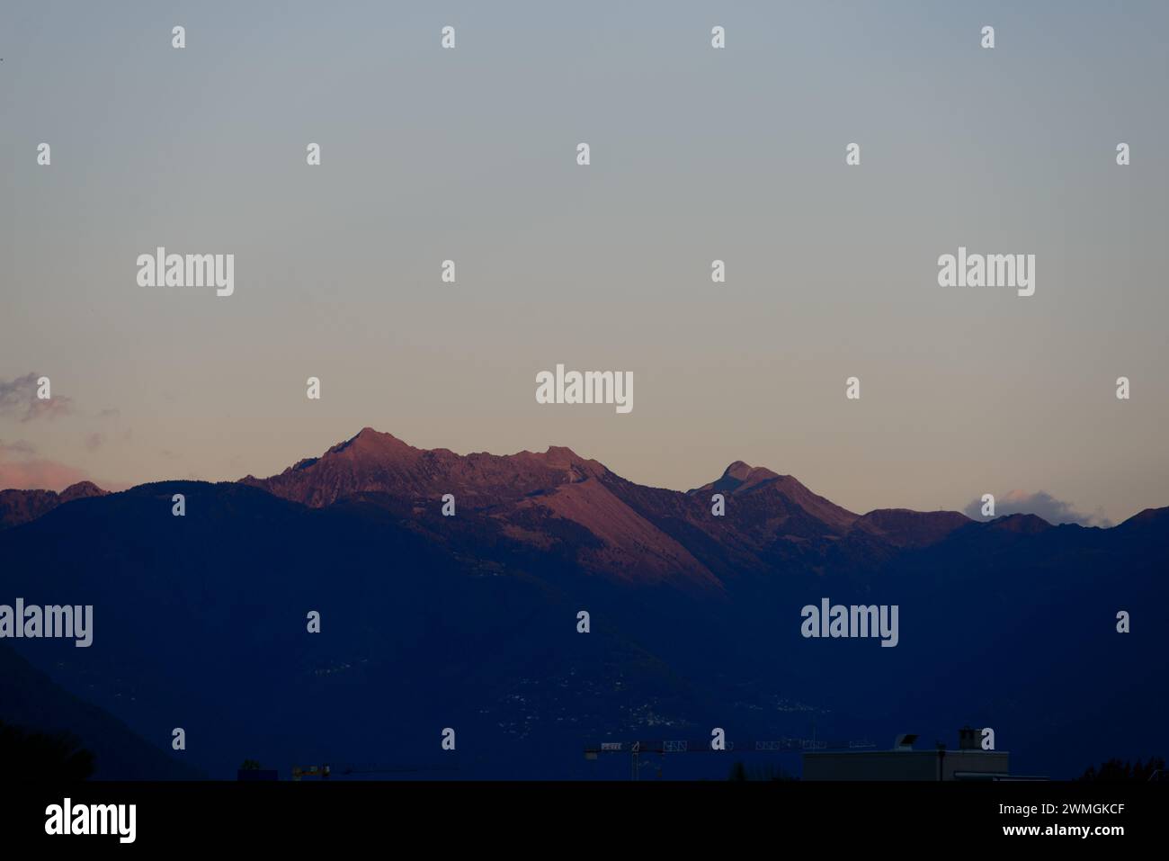 Twilight forest hi-res stock photography and images - Alamy