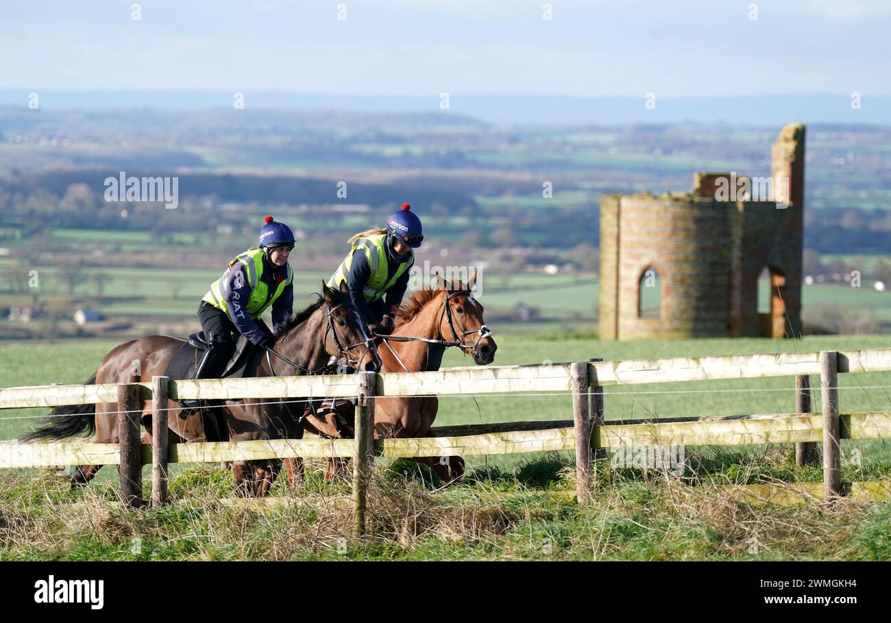 Horses out on the gallops during a visit to Paul Nicholls' yard at ...