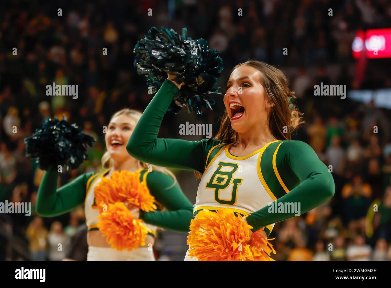 WACO, CA - FEBRUARY 24: A Baylor cheerleader cheers on her team during ...