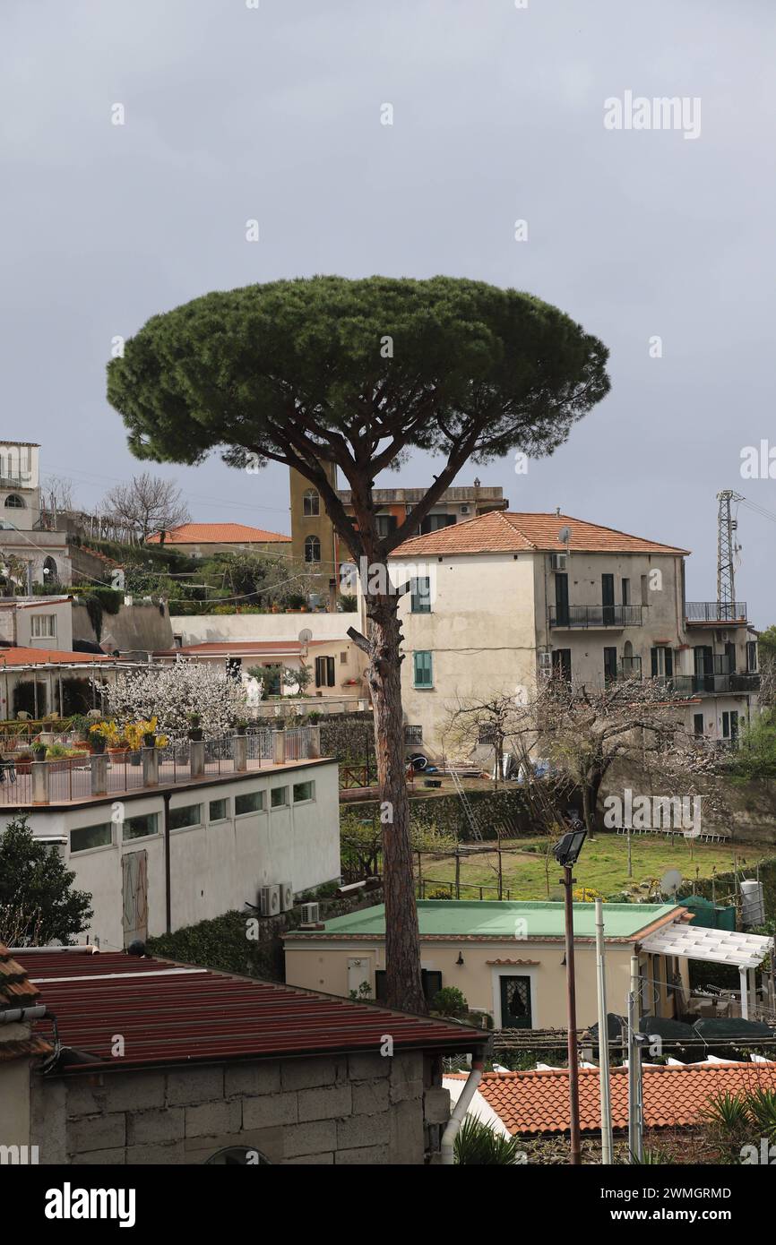 Italien Amalfiküste Ravello Italien Amalfiküste Ravello *** Italy ...