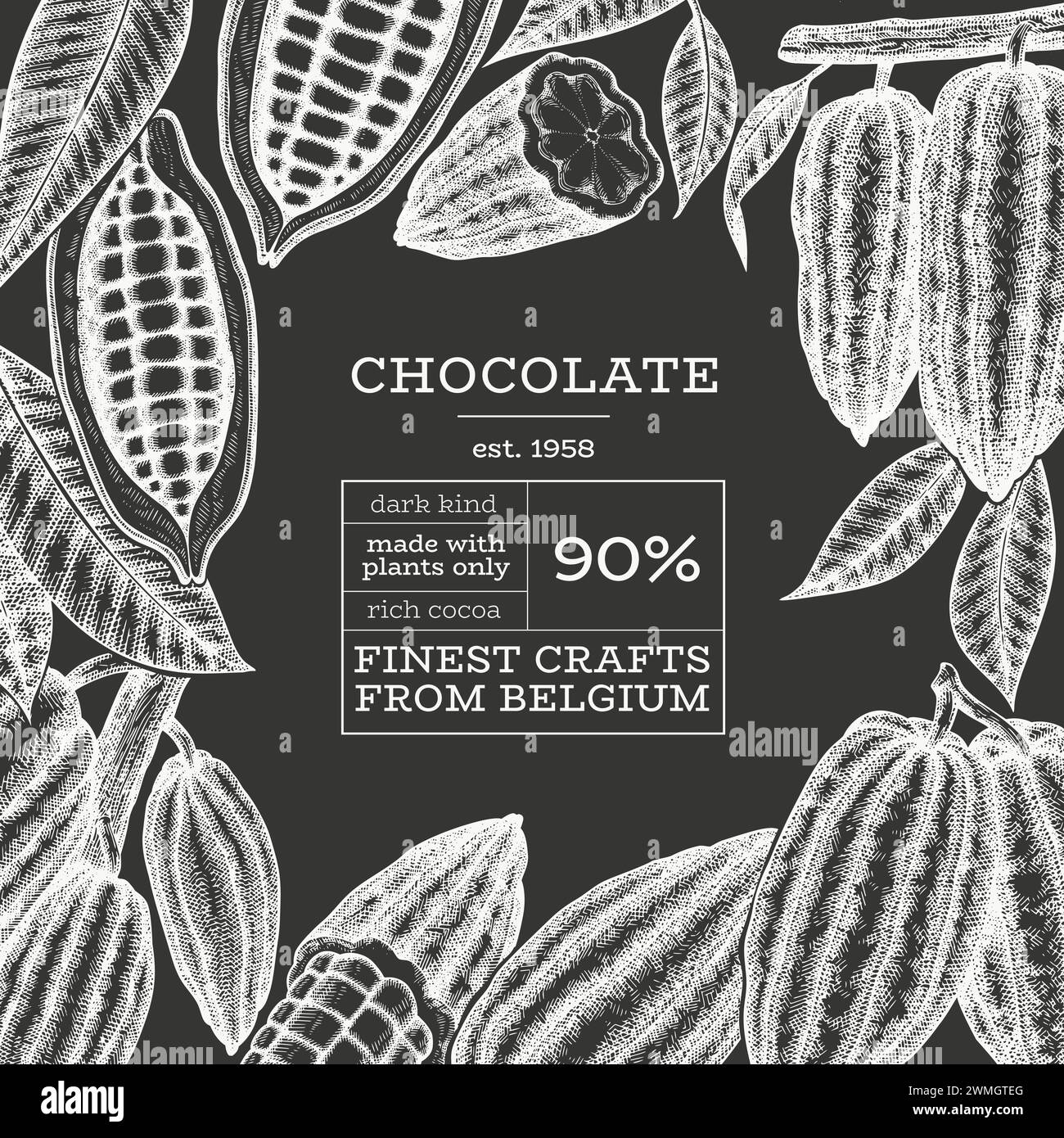 Cocoa design template. Chocolate cocoa beans background. Vector hand ...