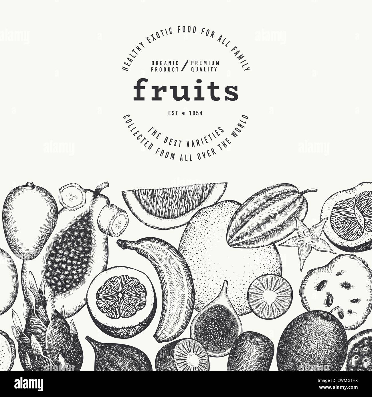 Tropical Fruit Design Template. Vector Hand Drawn Exotic Fruit Banner ...