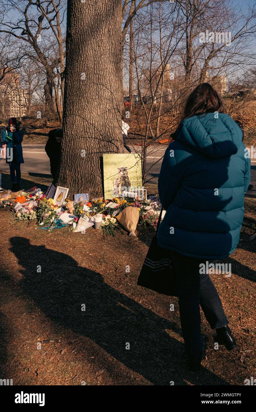 Flaco memorial hi-res stock photography and images - Alamy