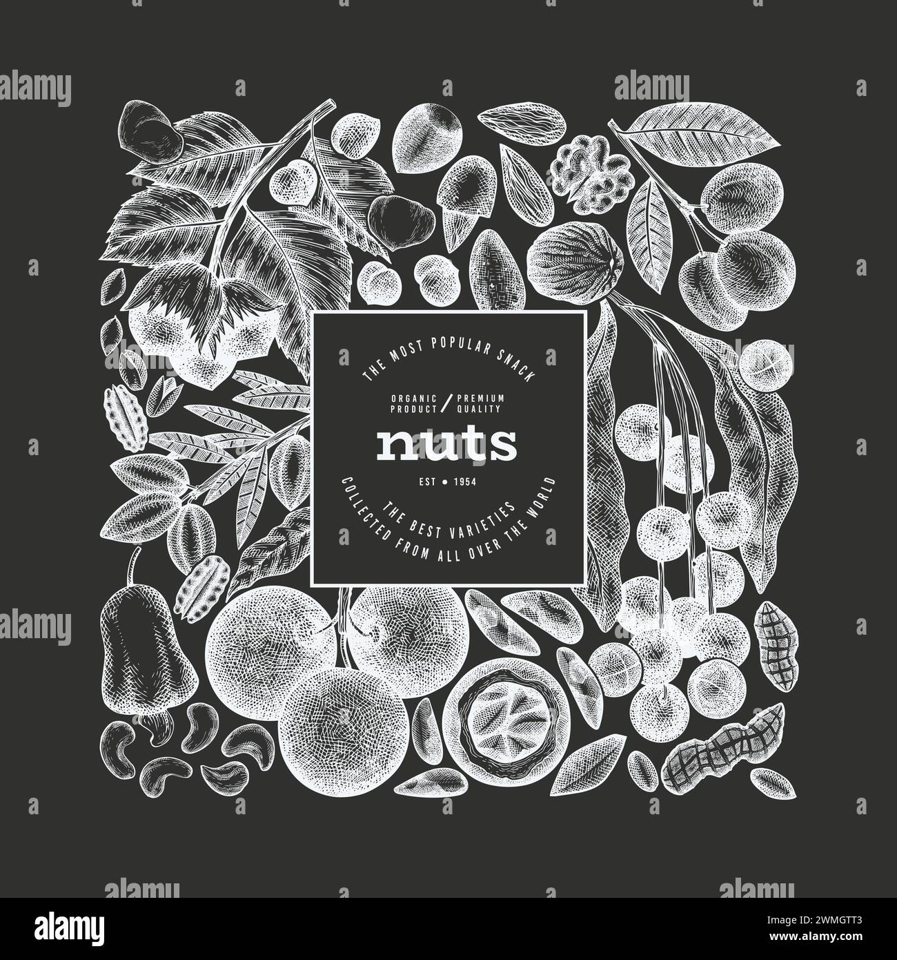 Hand Drawn Nuts Branch And Kernels Template. Organic Seed Vector Design ...