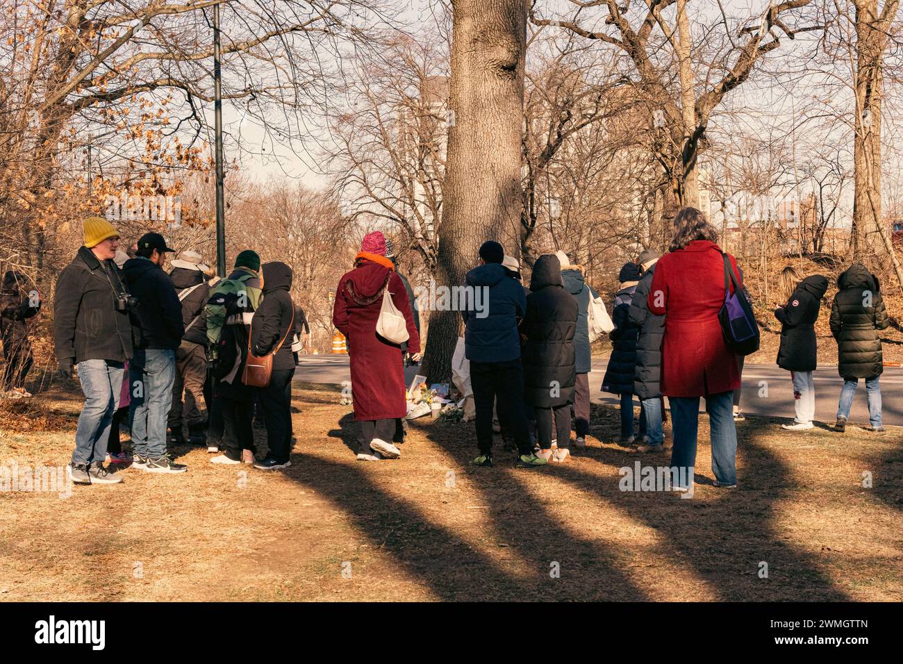 Rip flaco hi-res stock photography and images - Alamy
