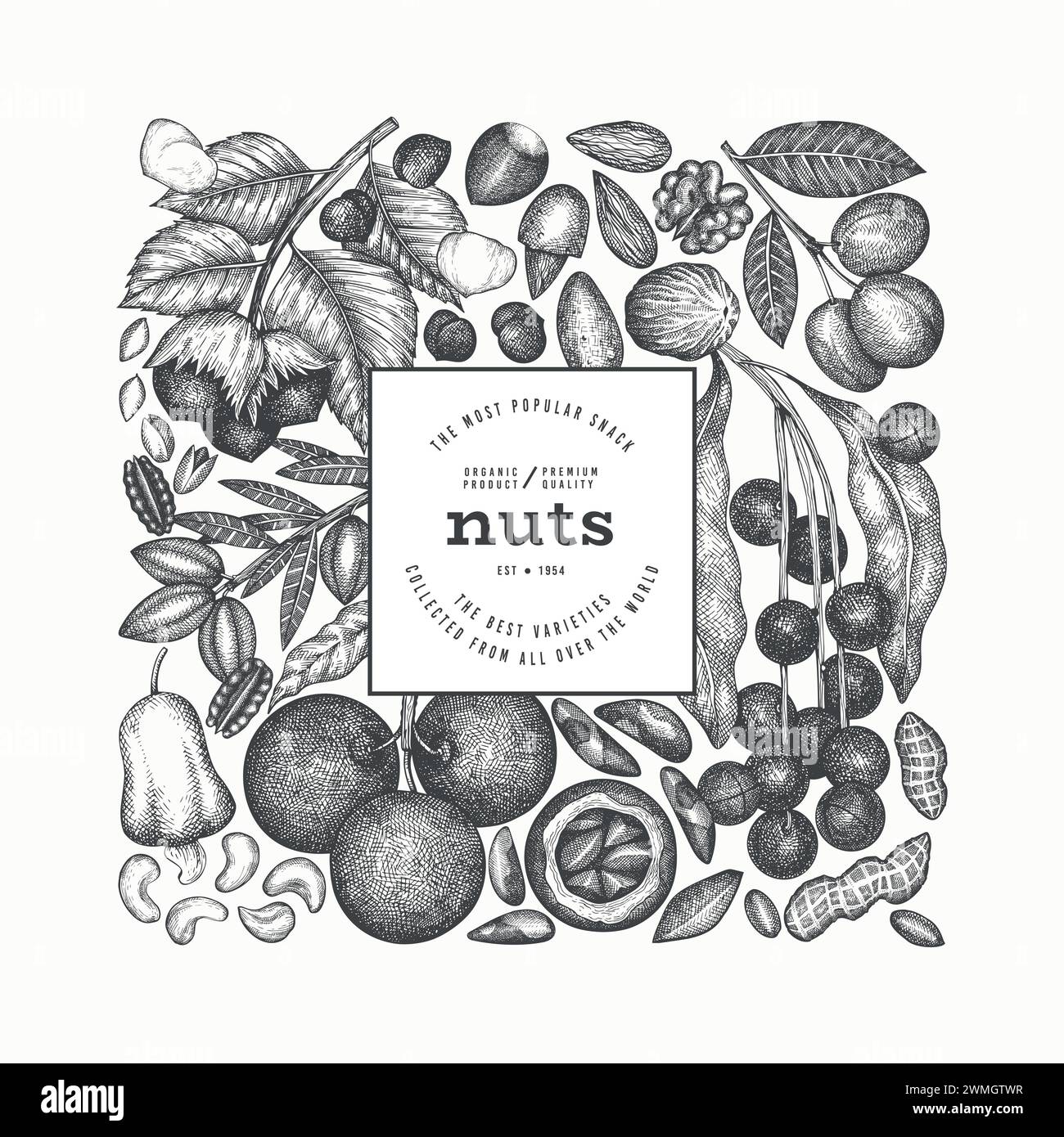 Hand Drawn Nuts Branch And Kernels Template. Organic Seed Vector Design ...