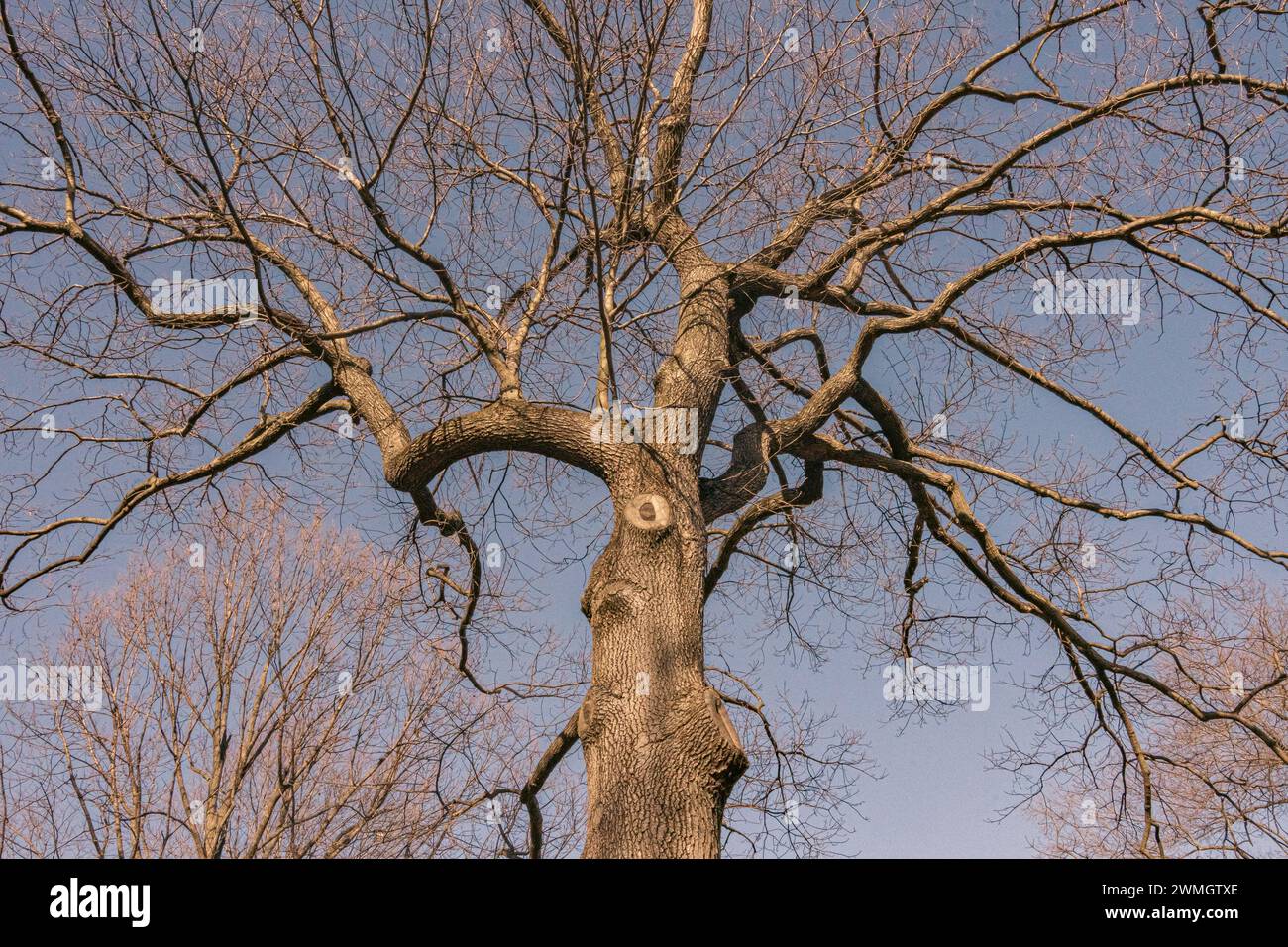 Flaco memorial hi-res stock photography and images - Alamy