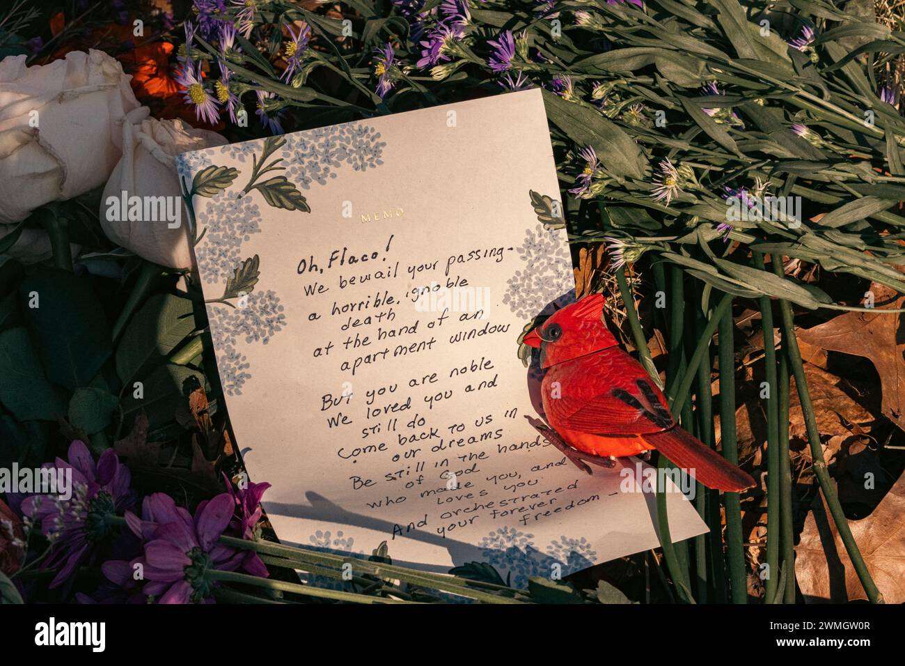 Flaco memorial hi-res stock photography and images - Alamy