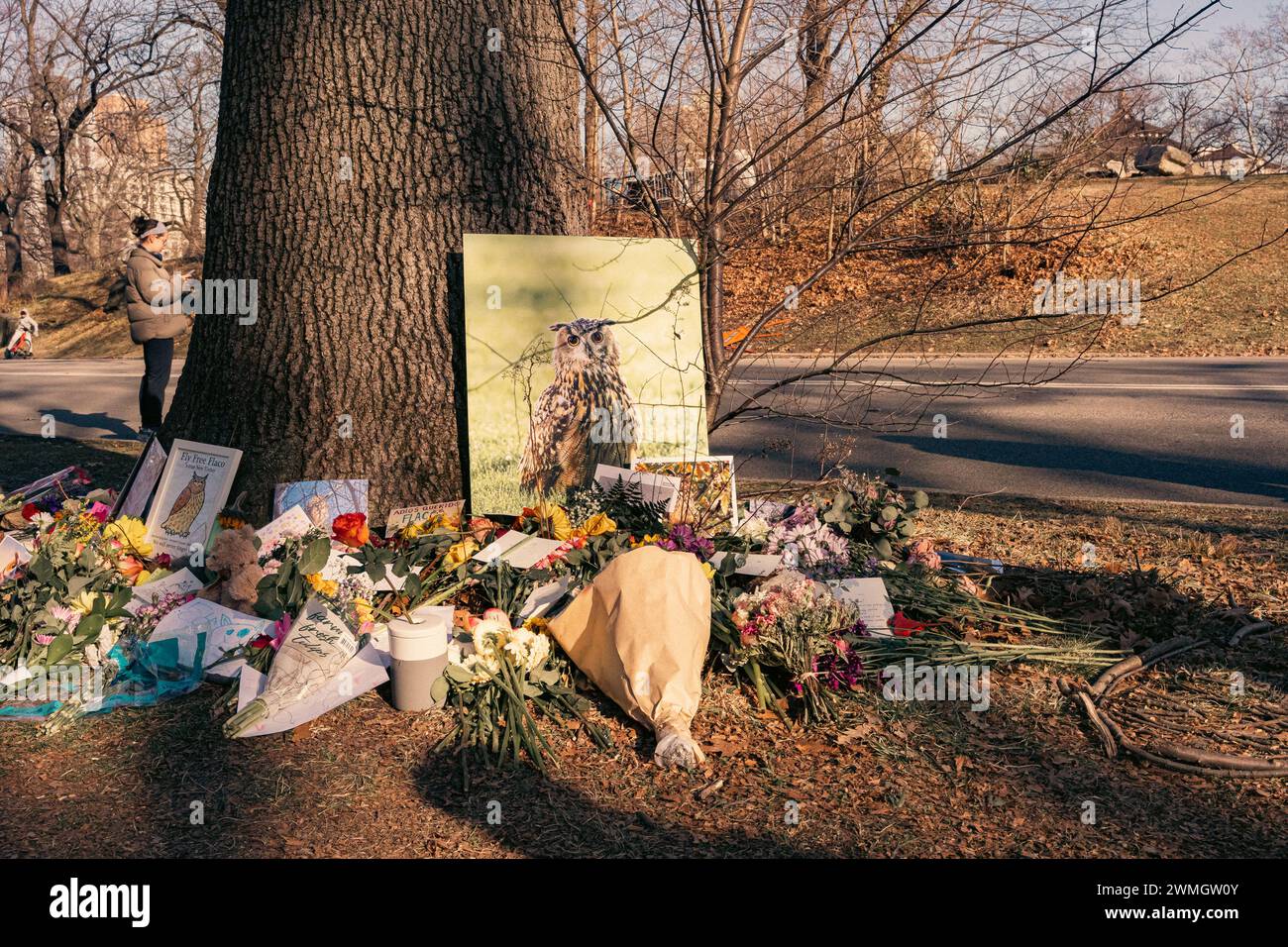 Rip flaco hi-res stock photography and images - Alamy