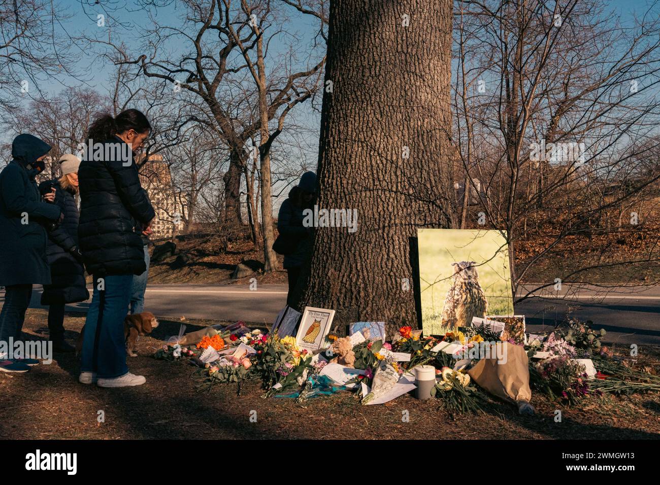 People visit a memorial for a local Eurasian owl named Flaco in Central ...