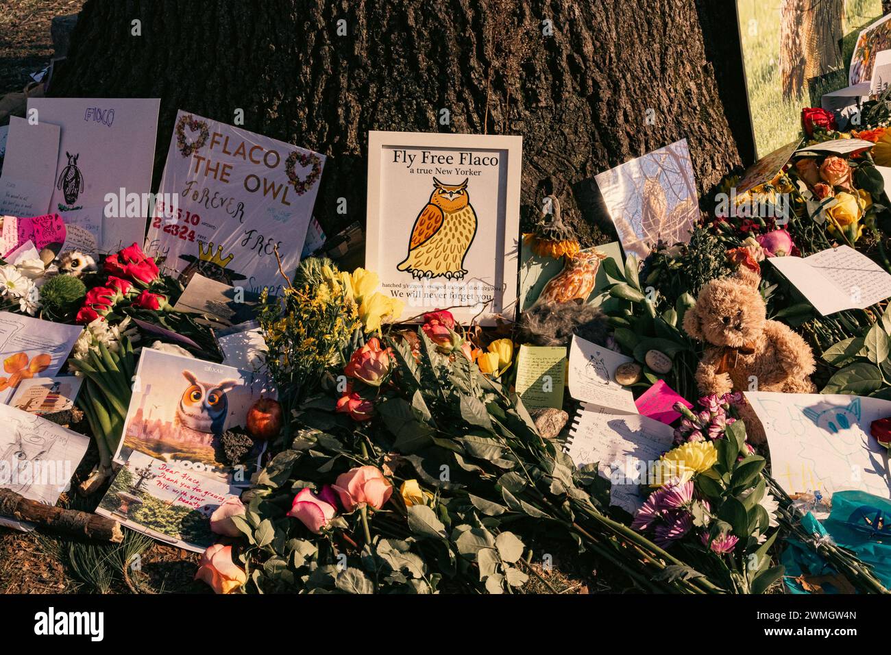 People visit a memorial for a local Eurasian owl named Flaco in Central ...