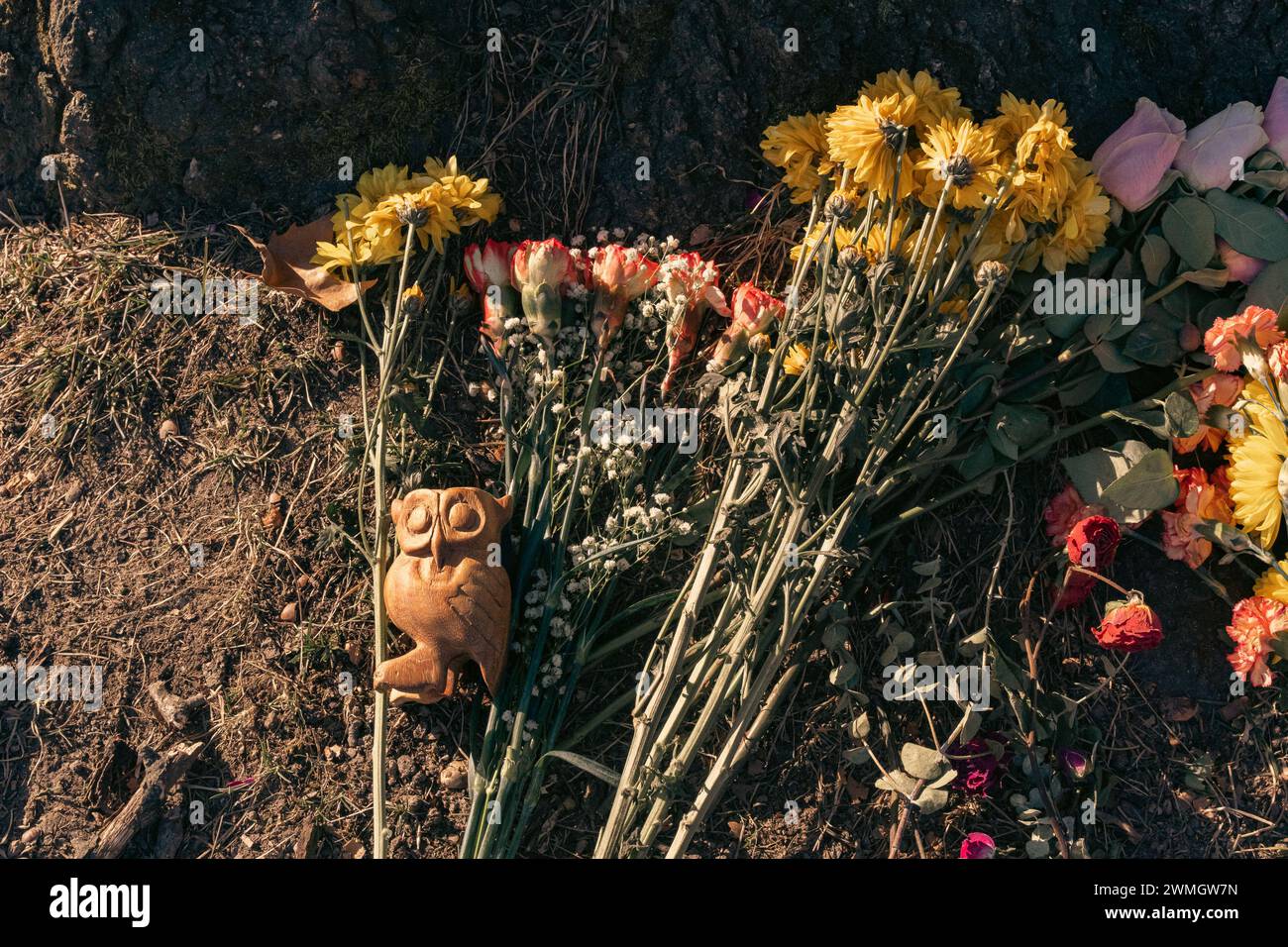 Rip flaco hi-res stock photography and images - Alamy