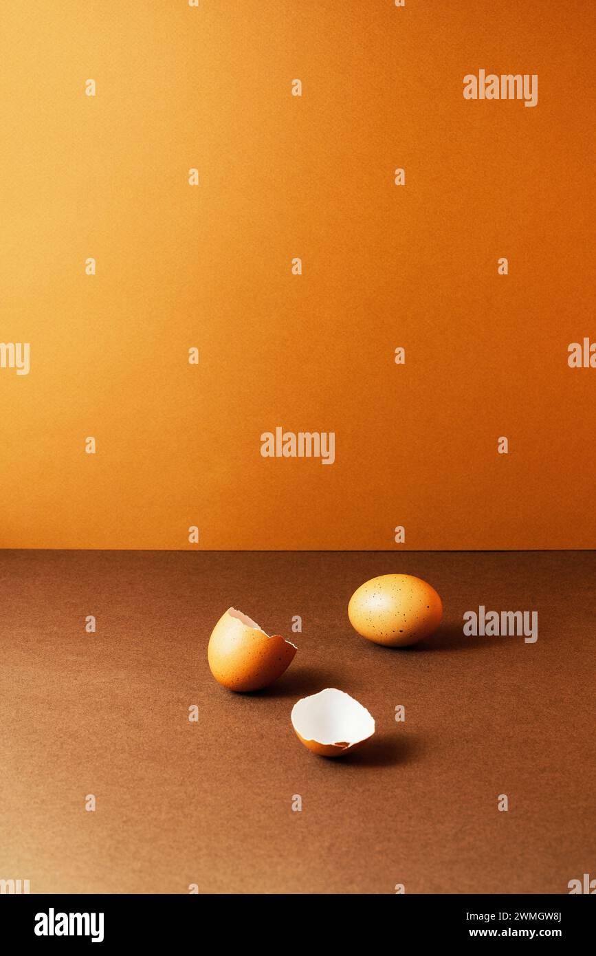 Chicken egg with one broken egg shell on brown background with copy ...