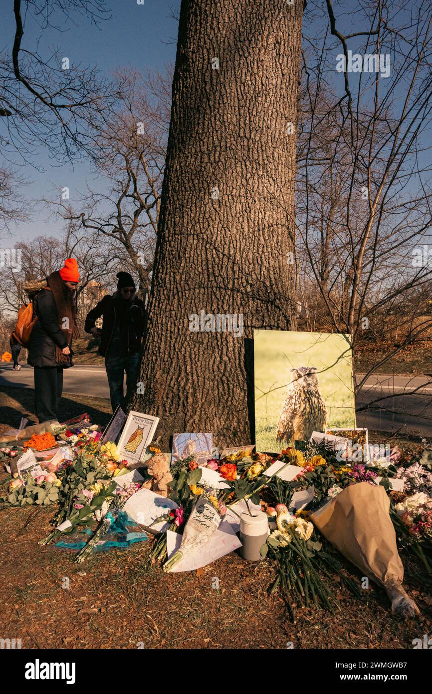 Flaco memorial hi-res stock photography and images - Alamy