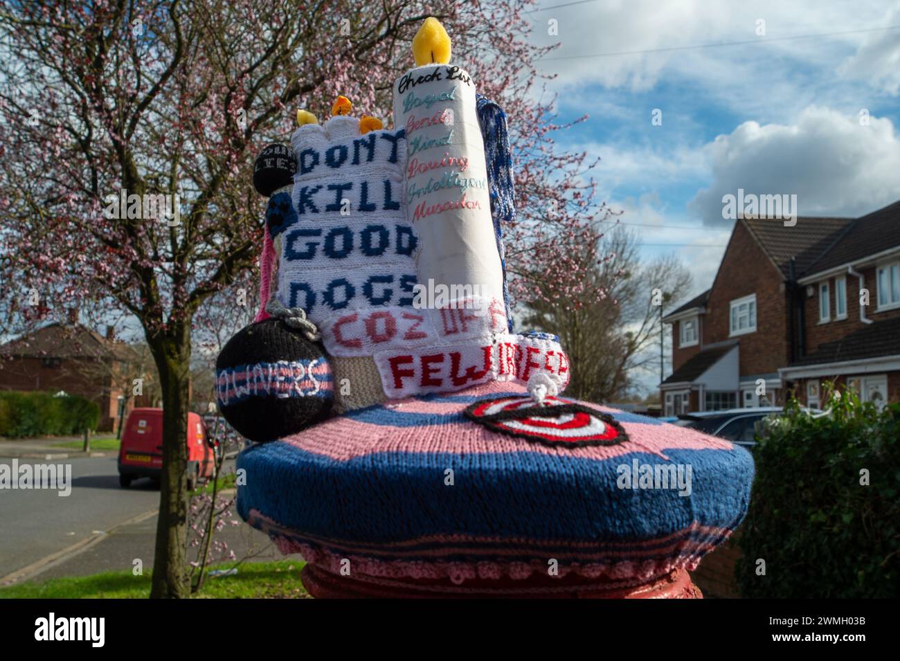 Xl bully wales hi-res stock photography and images - Alamy