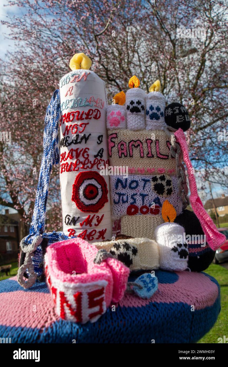 American bully xl dog hi-res stock photography and images - Alamy