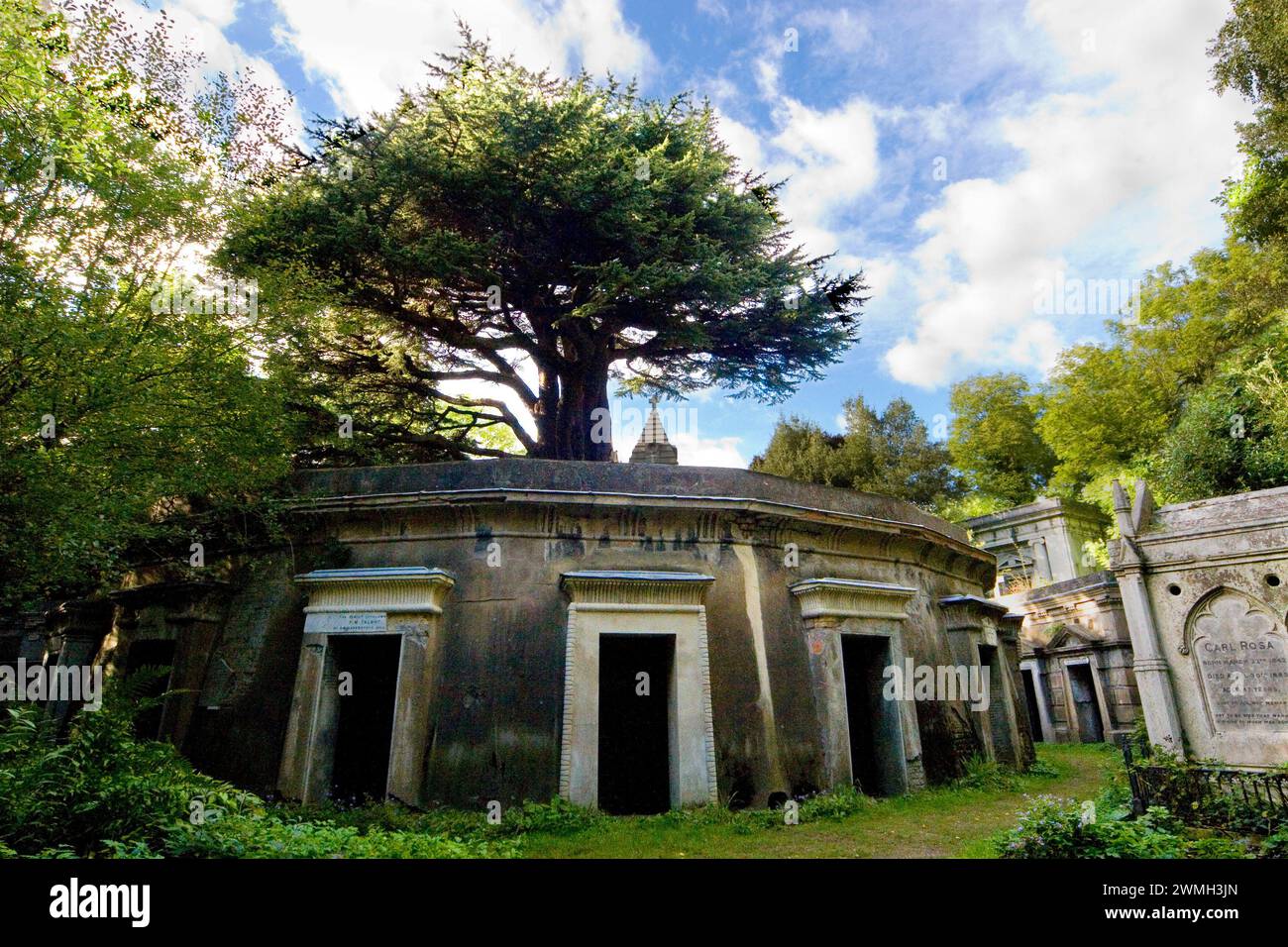 Cedar tree cemetery hi-res stock photography and images - Alamy