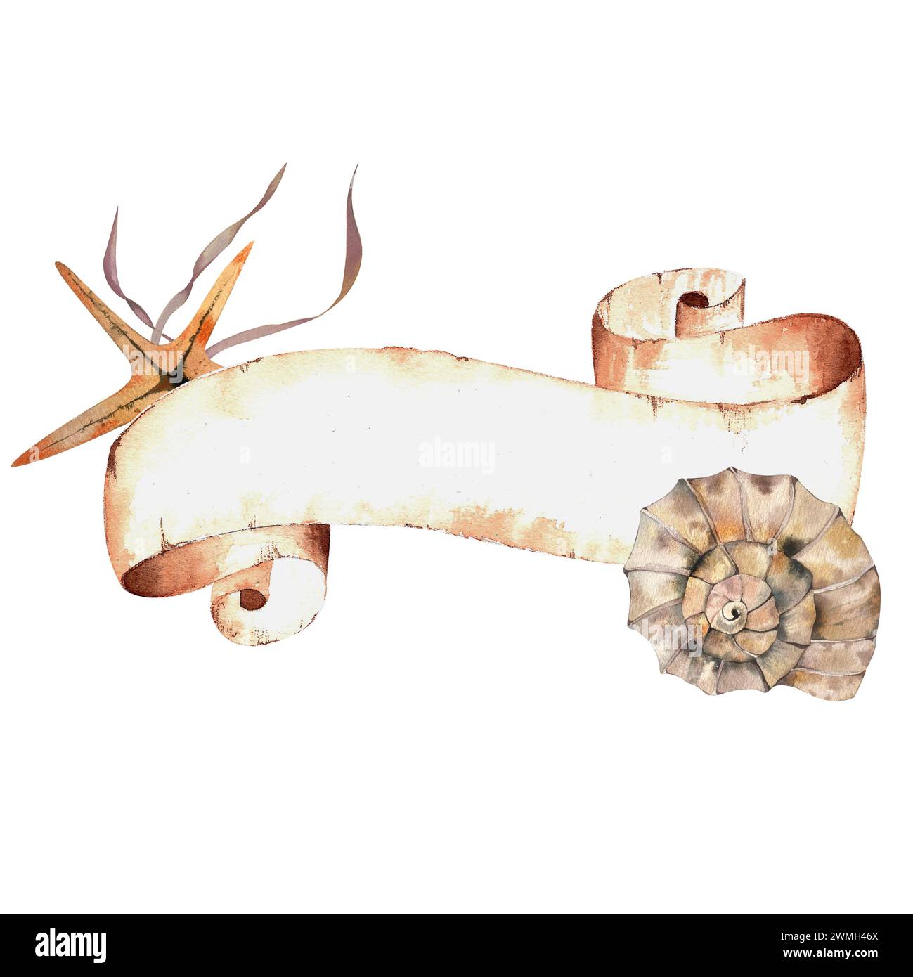 marine-themed scroll frame with shell and starfish. handmade watercolor ...