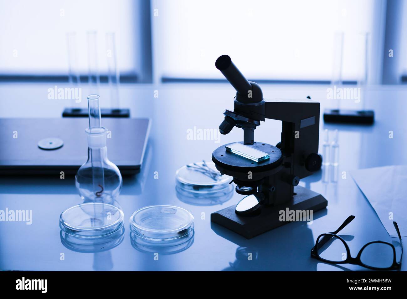 Entomology lab hi-res stock photography and images - Alamy