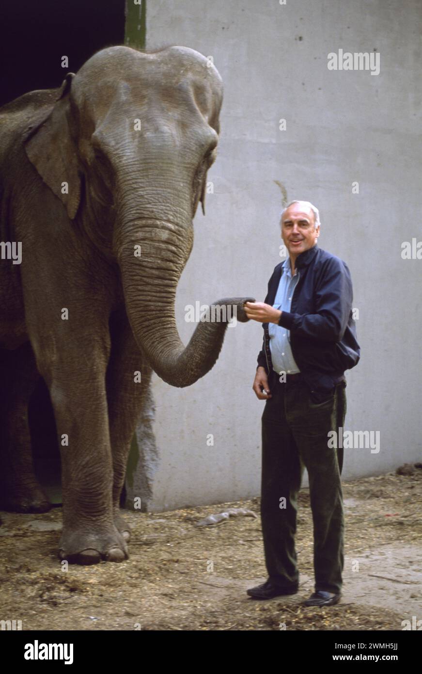 First Gulf War: 19th March 1991 Animal rescuer, John Walsh of the WSPA ...