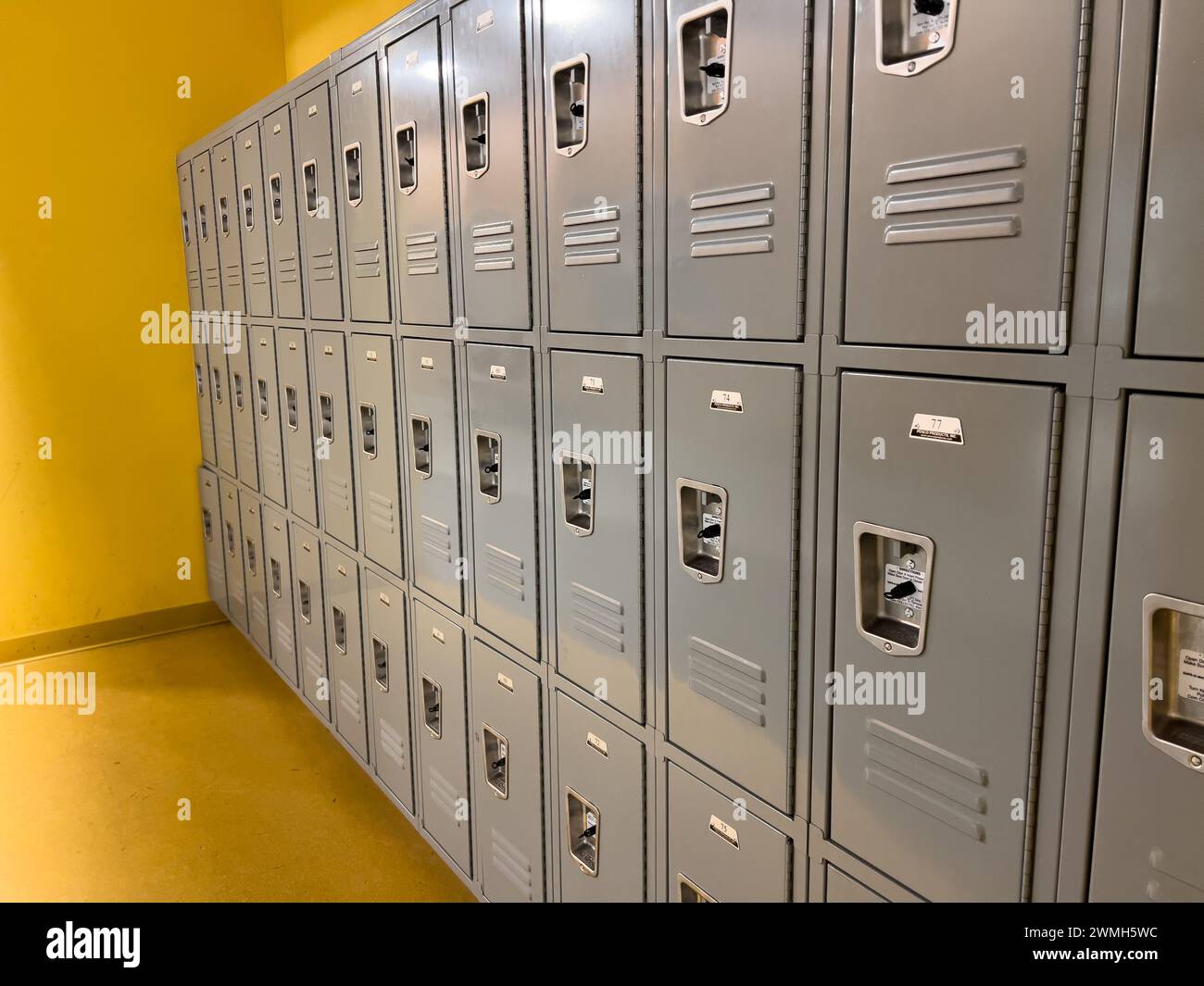 Rows of Gray School Lockers Lined up Against a Yellow Wall Stock Photo ...