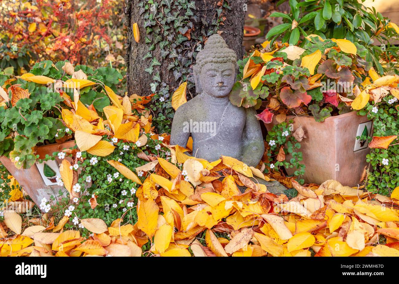 Leaning buddha hi-res stock photography and images - Alamy