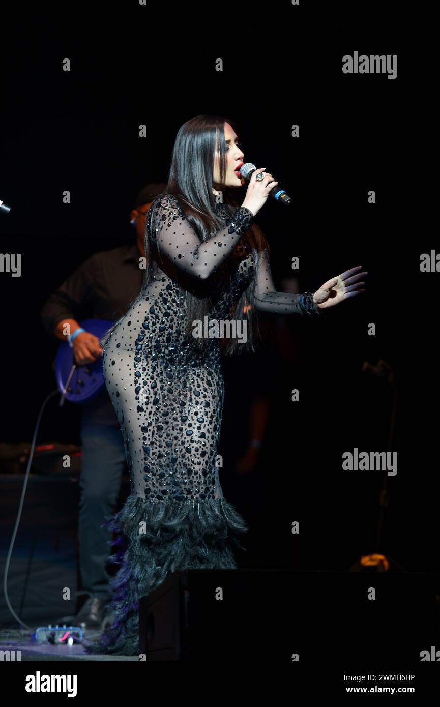 El puma singer hi-res stock photography and images - Alamy