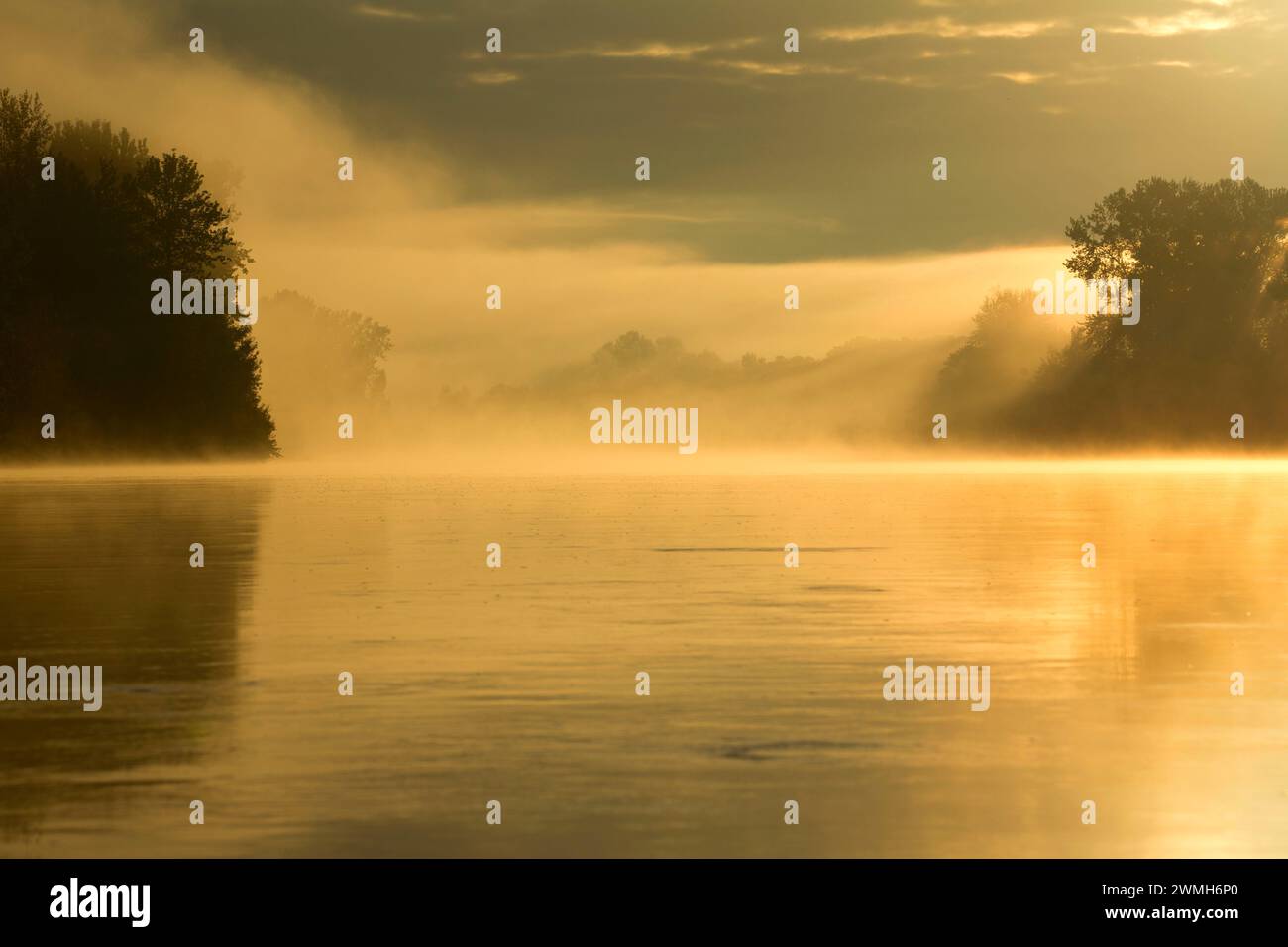 Willamette River mist, Willamette River Greenway, Oregon Stock Photo ...