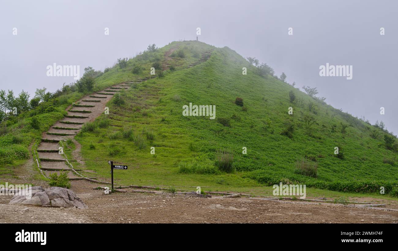 Tokyo urban trail with greenery hi-res stock photography and images - Alamy