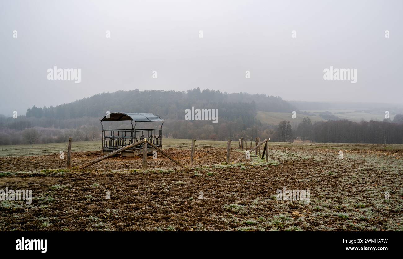 Rural misty winter landscape with cow feeder Stock Photo - Alamy