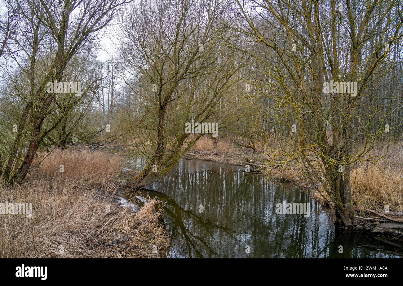River Ourthe in the Ardennes, Belgium Stock Photo - Alamy